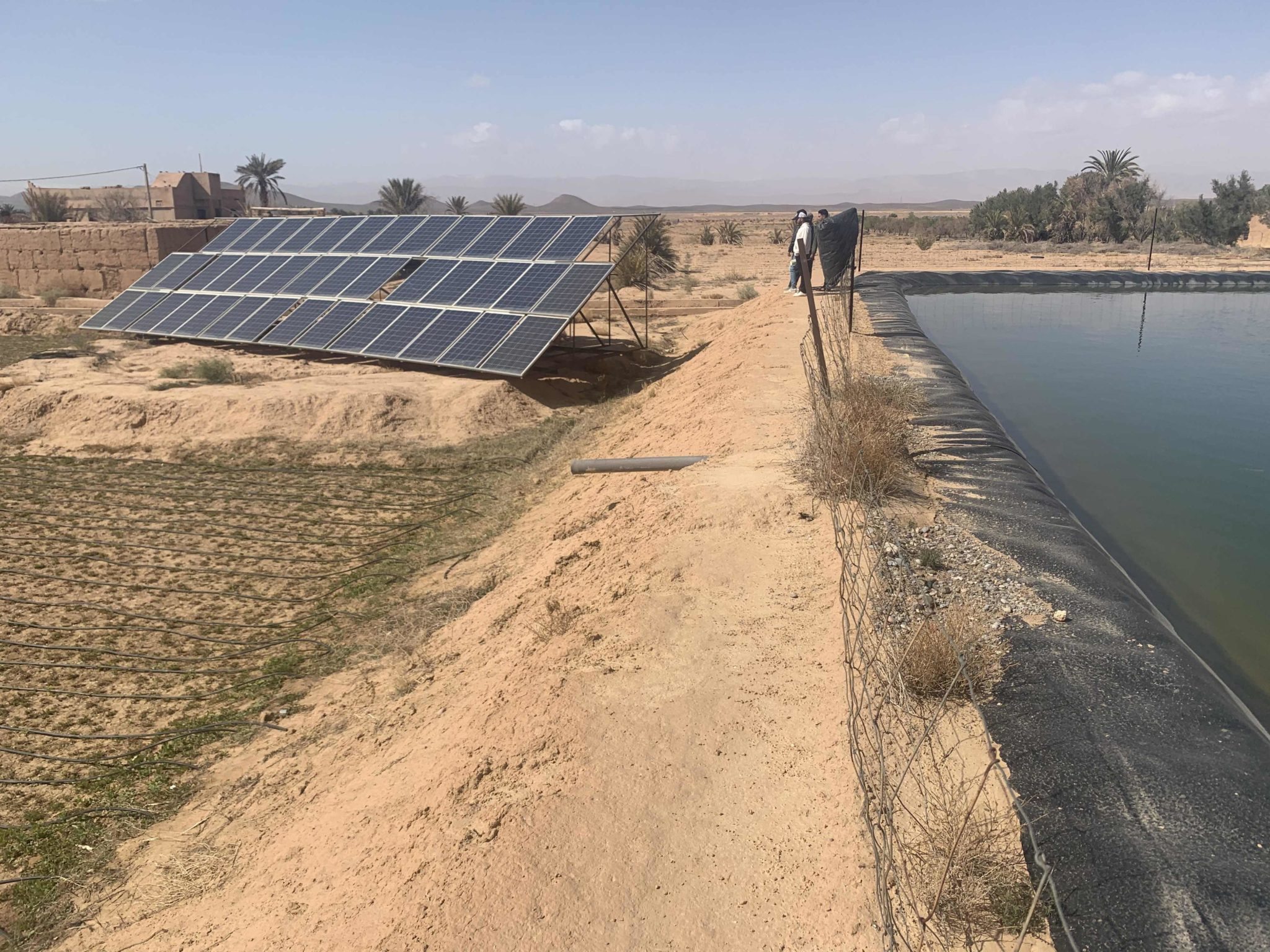 L’énergie solaire pour l’irrigation - Massire